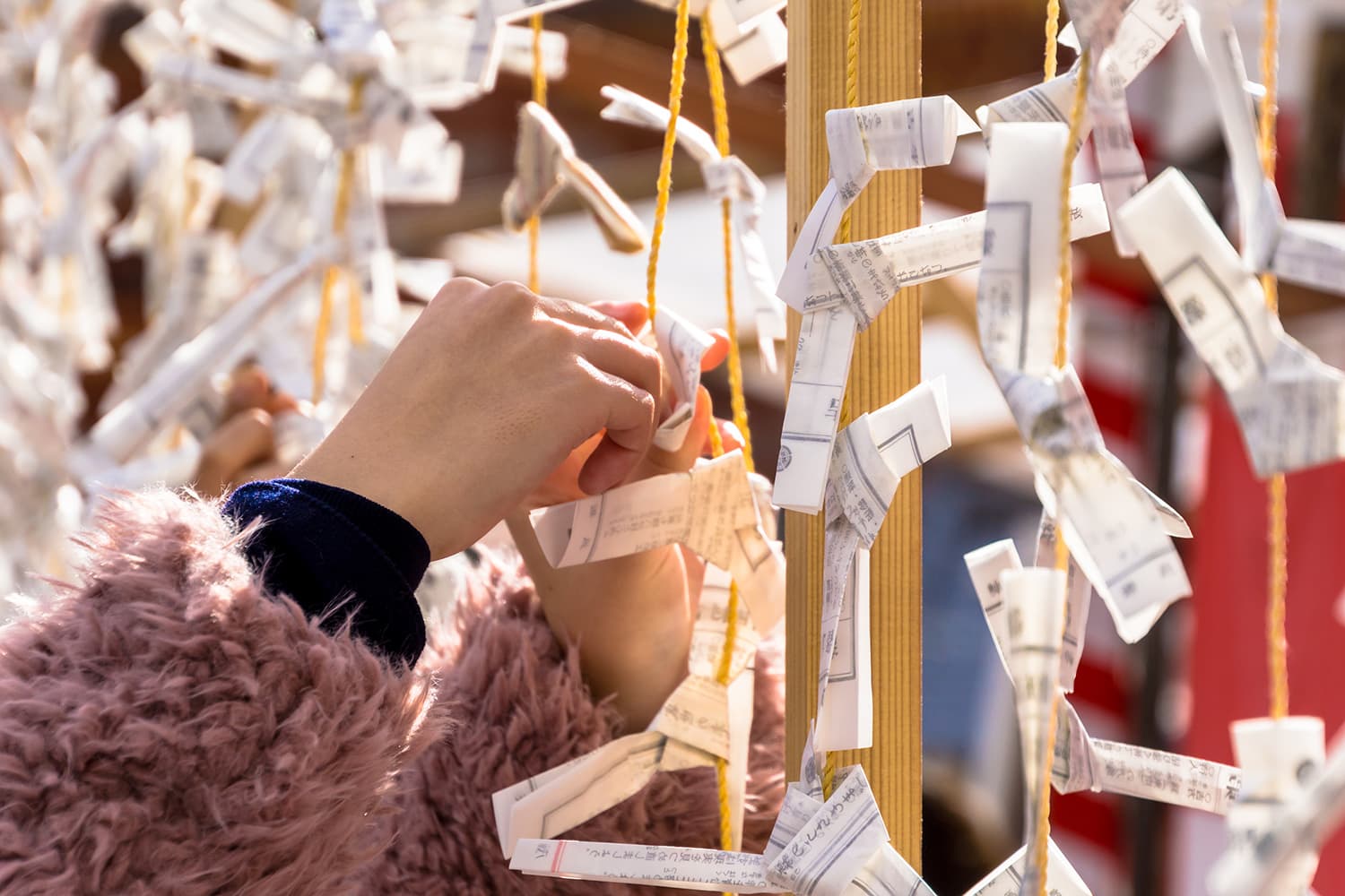 Guide to Visiting Japanese Shrines | daisuki-nippon